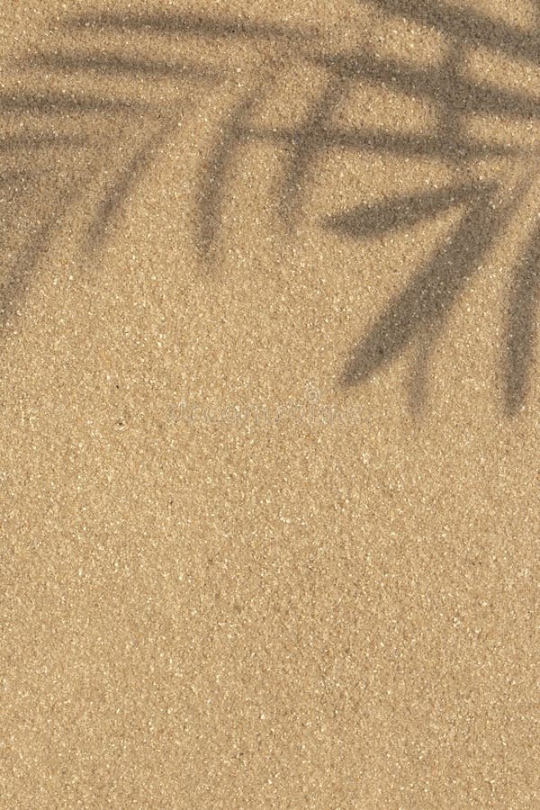 1,518 Palm Shade Sand Background Stock Photos - Free & Royalty-Free ...