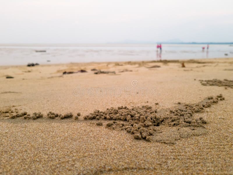 Sand Beach, with Rocks in Foreground. Stock Photo - Image of dream ...