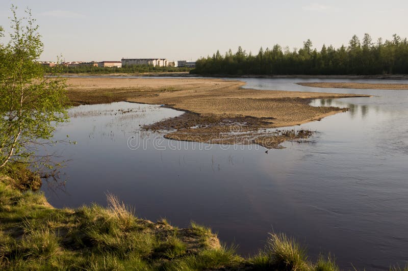 Sand Beach of the River with Green Shrubs and Trees Stock Image - Image ...