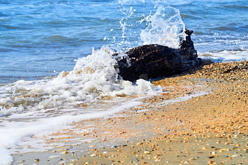 Sand Beach. Sea Shore. Sunny Day Stock Image - Image of sand, limestone ...