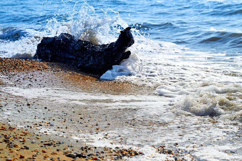 Sand Beach. Sea Shore. Sunny Day Stock Photo - Image of alone, sandy ...