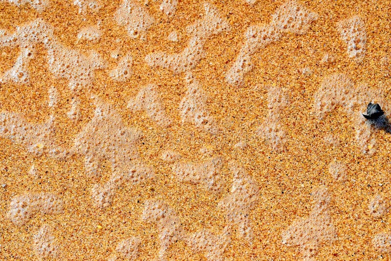 Sand Beach. Sea Shore. Sunny Day Stock Image - Image of sandy, alone ...