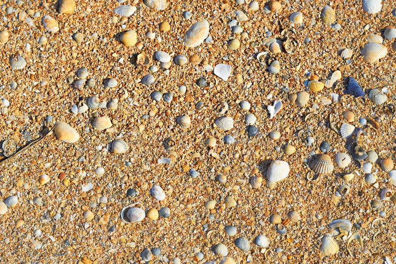 Sand Beach. Sea Shore. Sunny Day Stock Image - Image of deep, palate ...