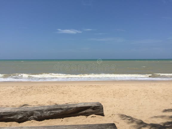 Sand ,beach , Seaside,log on Sand Stock Image - Image of seaside, beach ...