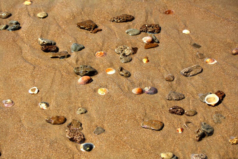 Part of the Beach with Shells an Stones Stock Photo - Image of ...