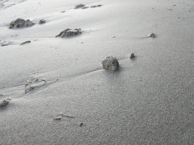 Sand beach stock image. Image of clay, sand, minimalistic - 232931527