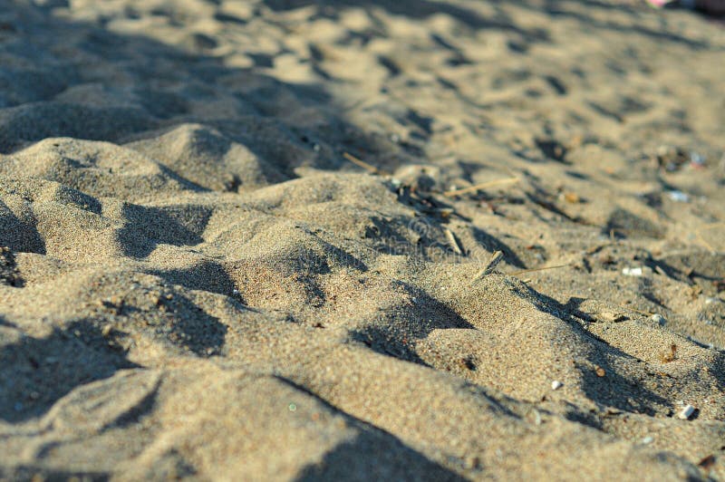 Sand on the beach stock photo. Image of wood, leaf, beach - 228984424