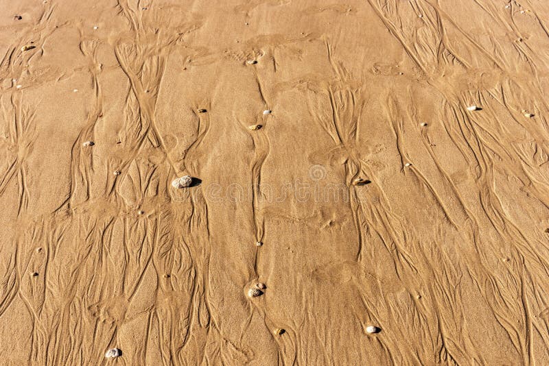 Sand Beach Texture. Brown Sandy Beach for Background Stock Image ...