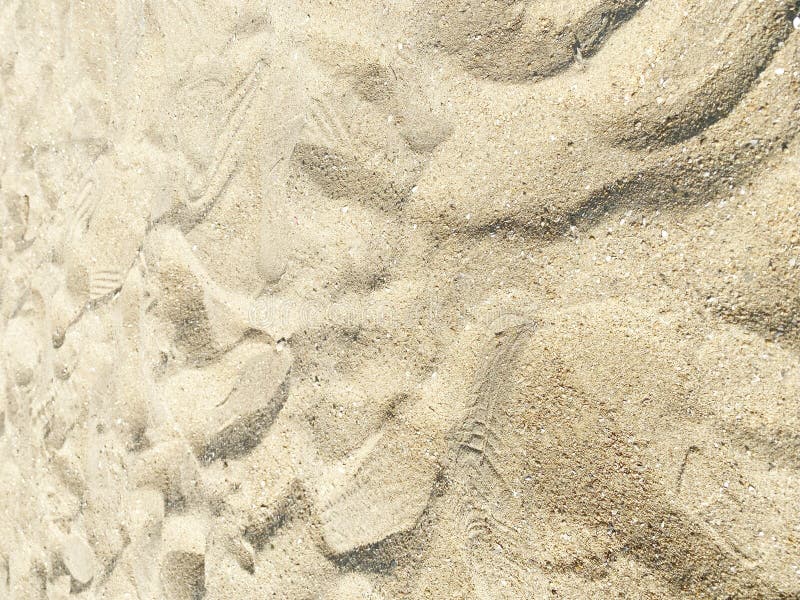 Sand on the Beach Texture for Summer Background Stock Illustration ...