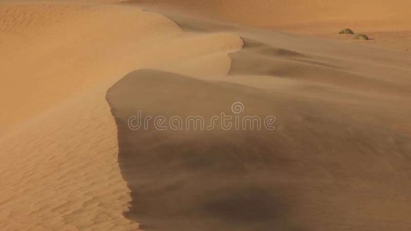 Sand Blowing Over Sand Dunes in Desert Stock Footage - Video of scene ...
