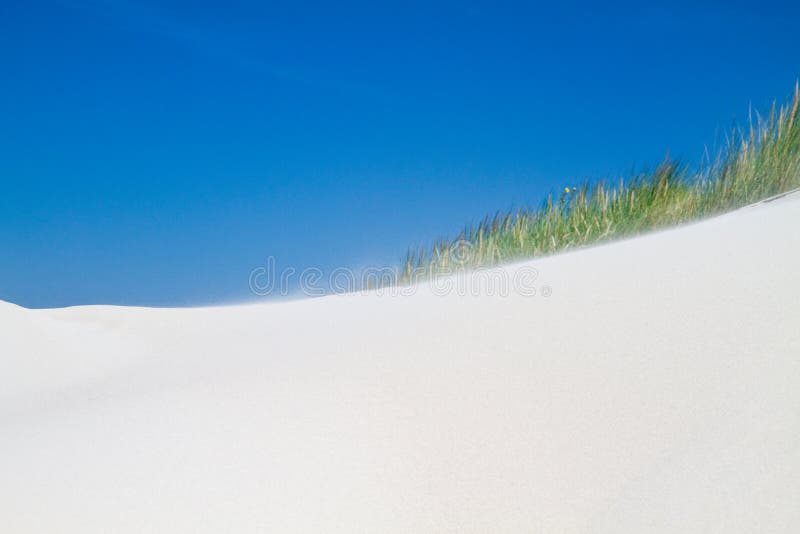 Sand blown by the wind stock image. Image of moving, marram - 43069007