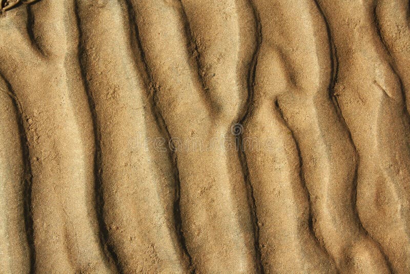 Sand bottom texture stock photo. Image of copy, climate - 27047438