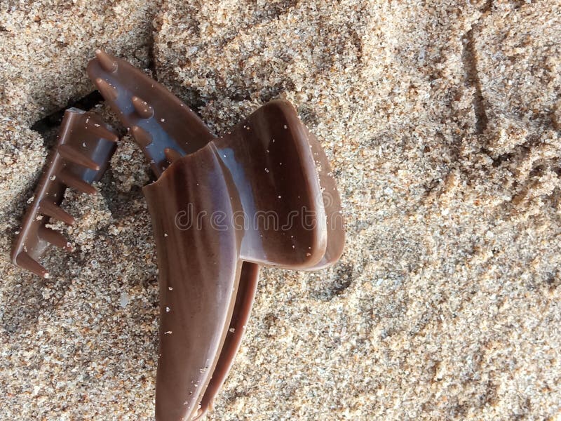 Sand and broken lagoon stock image. Image of wood, animal - 265691741
