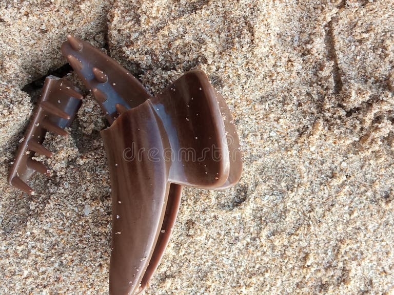 Sand and broken lagoon stock image. Image of wood, animal - 265691741
