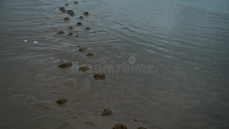 Sand bumps in water stock video. Video of sand, wave - 324807763