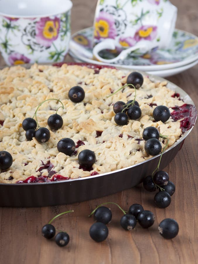 Sand Cake with Black Currant Stock Photo - Image of brown, baking: 90087100