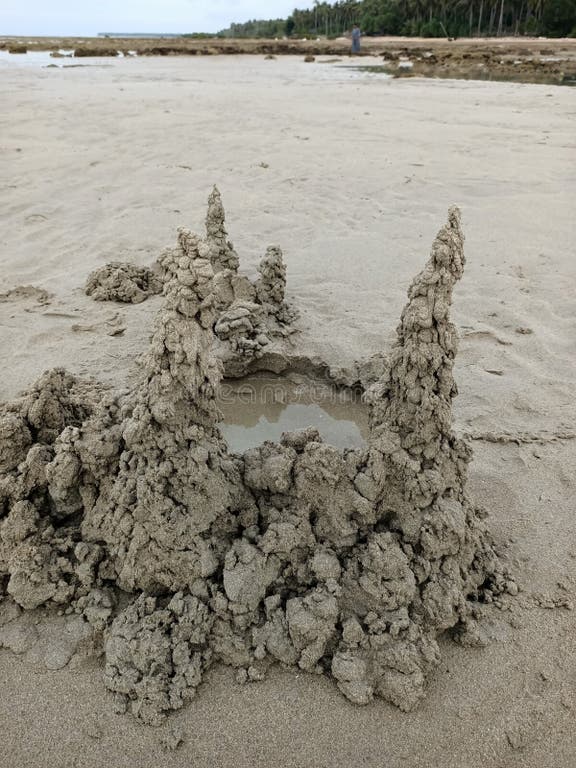 Sand Castle Building Made with Wet Sand on the Beach Stock Photo ...