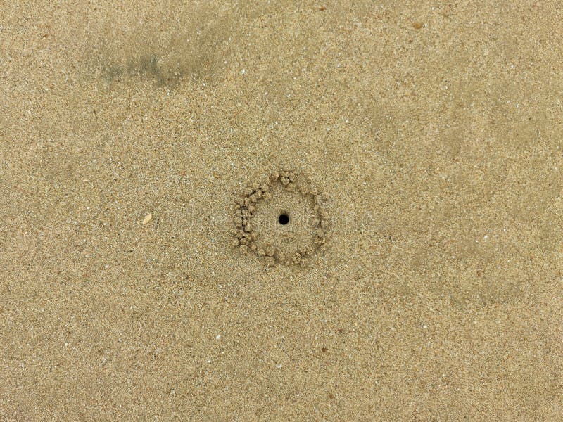 Sand Circle Isolated on White Background Stock Image - Image of ...