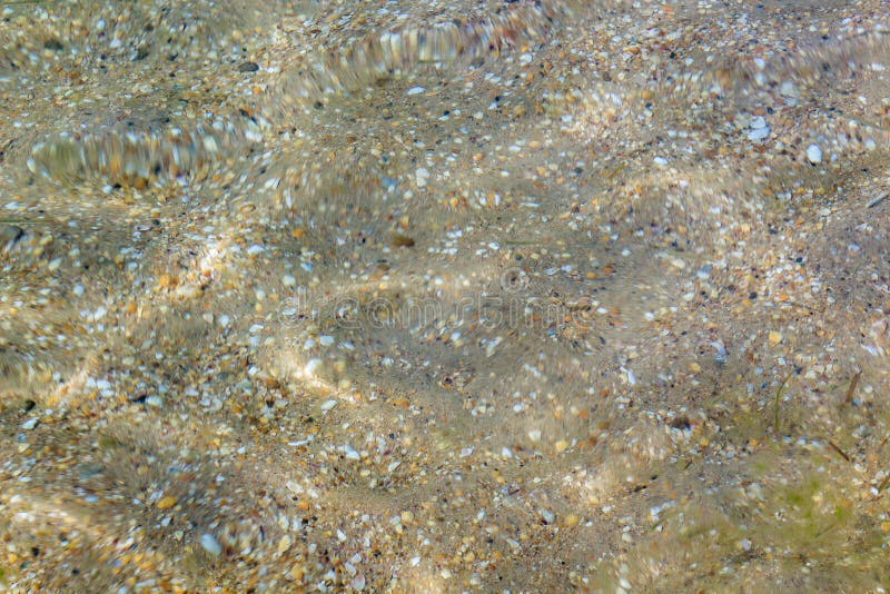 Sand through the Clear Water. Stock Photo - Image of invertebrate ...