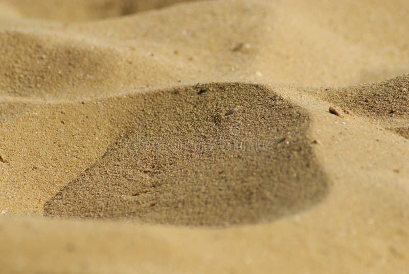 Sand closeup stock photo. Image of dune, beach, pattern - 7700090