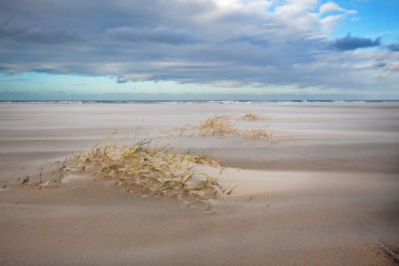 Sand Couch on stormy beach stock image. Image of beach - 104627721