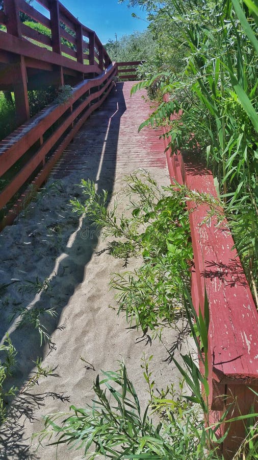 Sand covered boardwalk stock image. Image of vegetation - 106895041