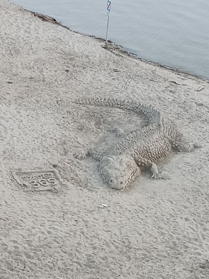 Sand Crocodile Sculpture Made on the Beach Stock Photo - Image of ...