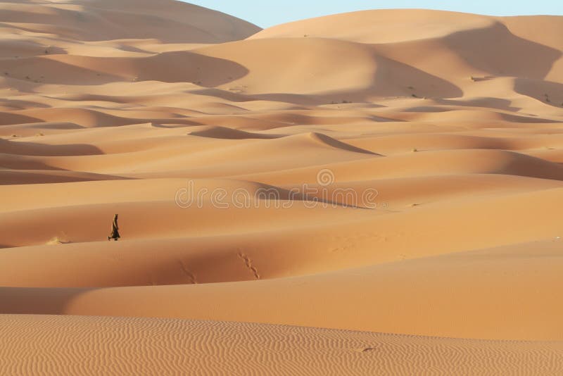 Sand desert stock photo. Image of element, freedom, path - 4111692