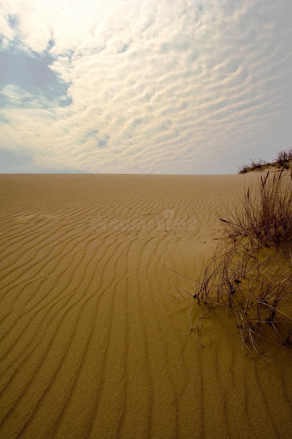 Dunes stock photo. Image of nida, horizont, sand, texture - 321204