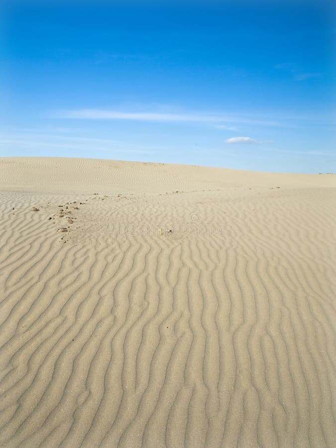 Sand desert stock image. Image of outdoors, landscape - 9804967