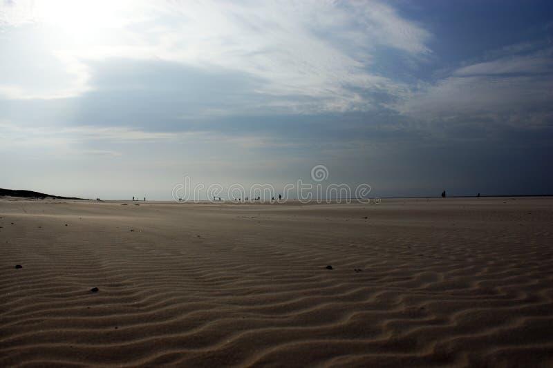 Sand on a Desert Dune at the Beach No People Stock Image - Image of ...