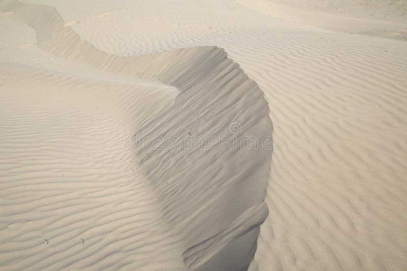 Sand in the Desert Dune with Texture from Wind Patterns Stock Image ...