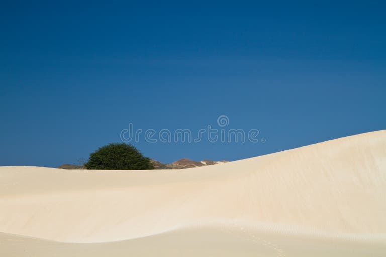 Sand Desert II stock image. Image of scene, summer, range - 12347717