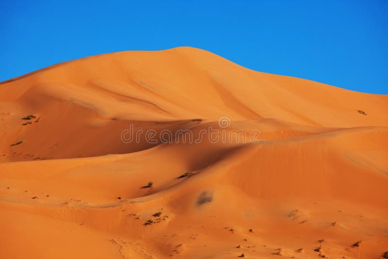 Sand desert stock photo. Image of natural, crack, hill - 110595528