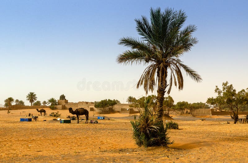 Sand Desert Sets in, Pollution, Sahara, Morocco Stock Image - Image of ...