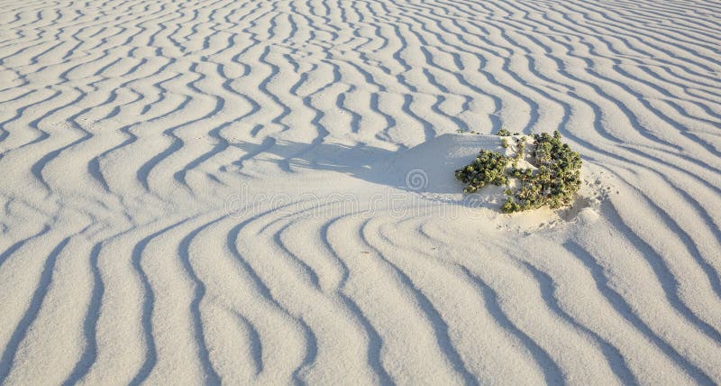 Sand desert surface stock photo. Image of terrain, backdrop - 68624988