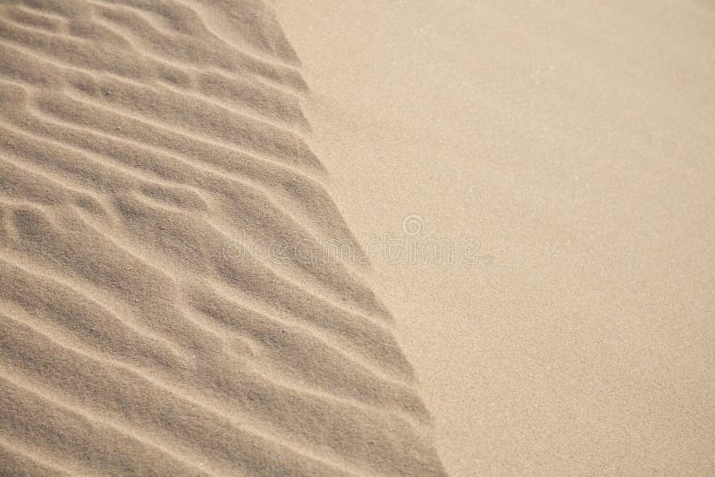 Sand detail stock photo. Image of europe, ground, golden - 18560980