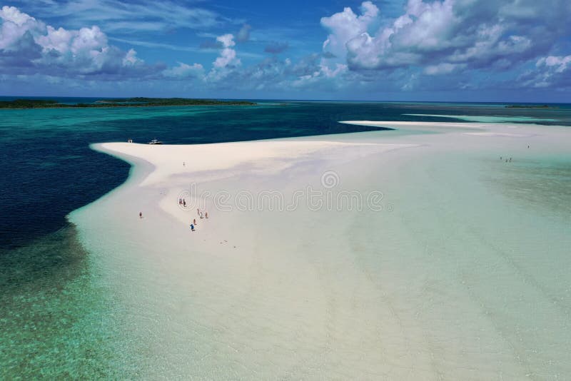 Sand Dollar Bar in the Bahamas Stock Image - Image of spanishwells ...