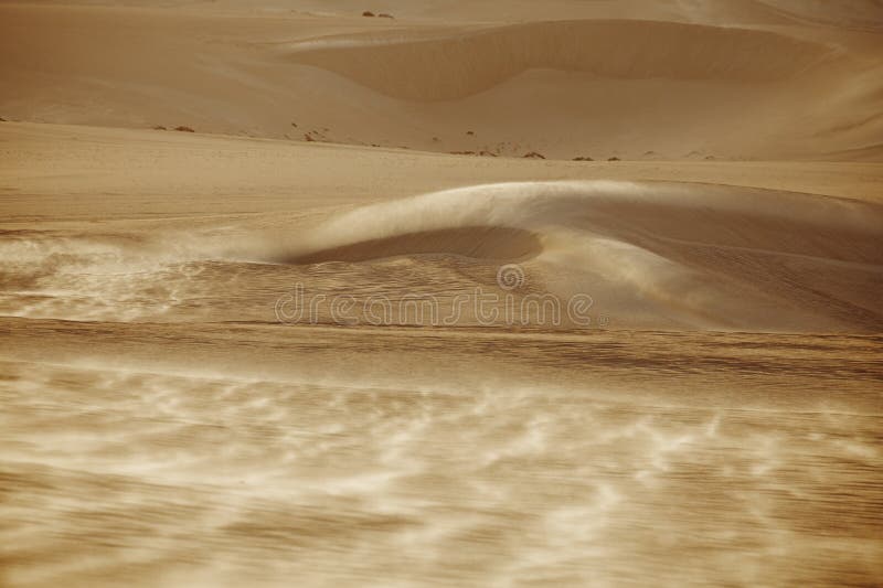 Sand Drift in Sahara Dune Desert Stock Photo - Image of color, eastern: 27171252