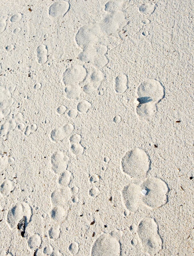 Sand drop texture stock image. Image of beach, mallorca - 44470009