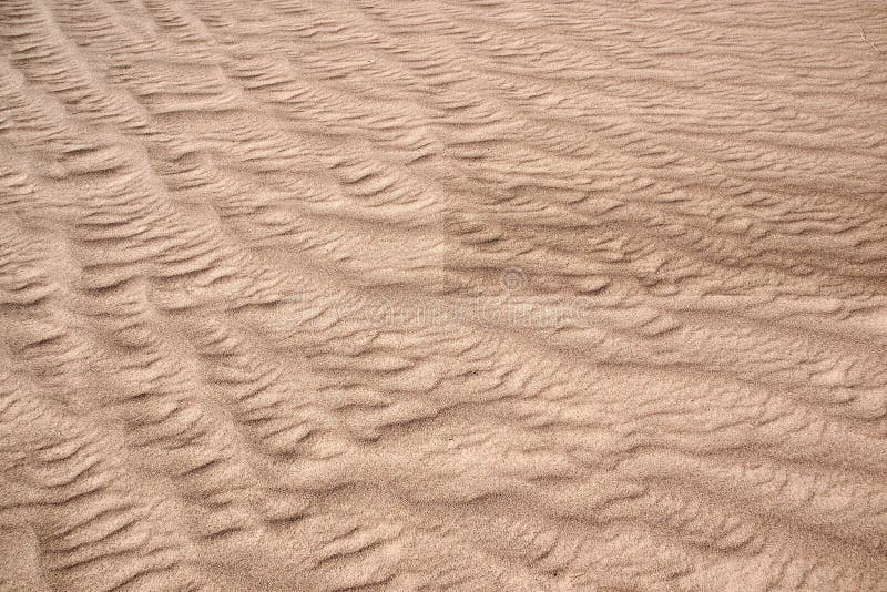 Sand in the Dry Desert on a Sunny Day Stock Image - Image of field ...