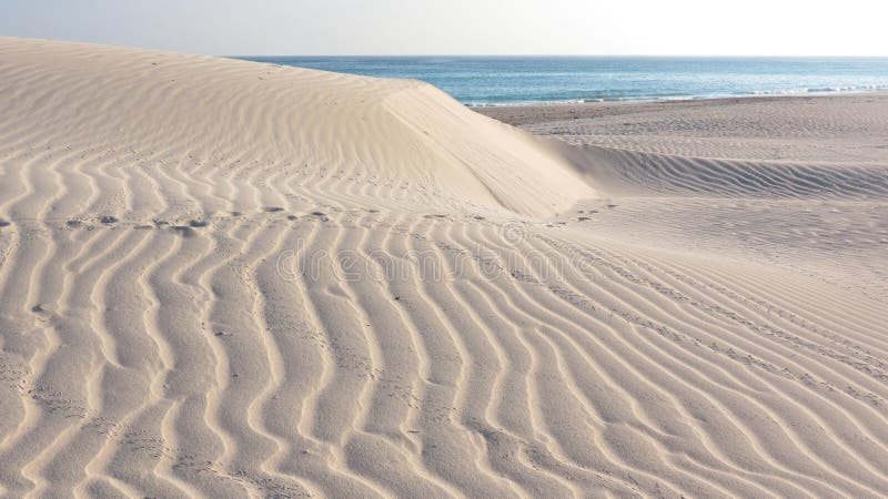 Sand Dune Near the Ocean in Socotra Stock Photo - Image of pale, steppe ...