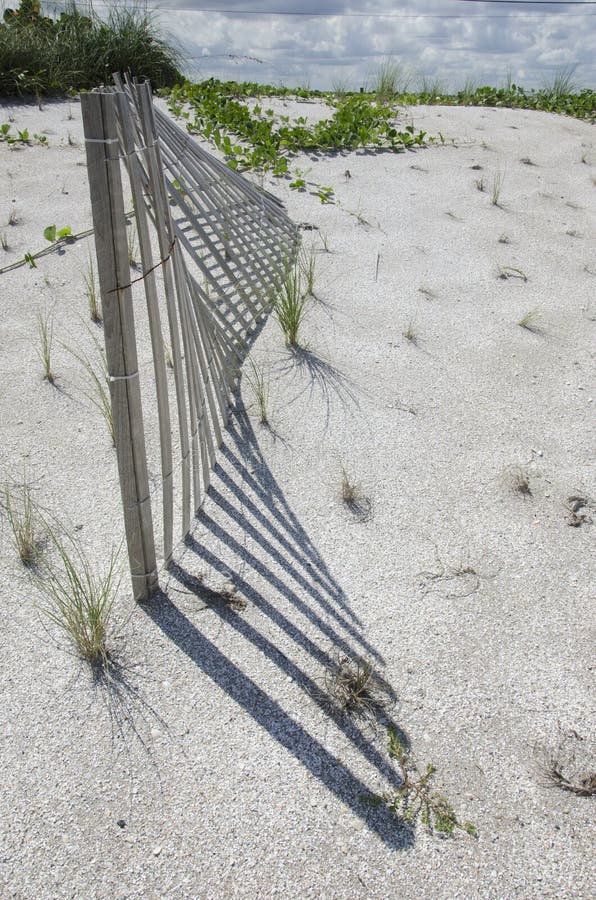 Sand Dune Fencing stock photo. Image of scenery, peaceful - 59717834