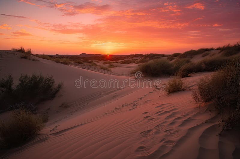 Sand Dune Field, with the Sun Setting Overhead, Casting a Pink and ...