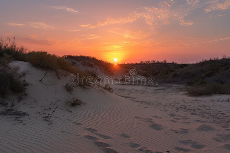 Sand Dune Field, with the Sun Setting Overhead, Casting a Pink and ...