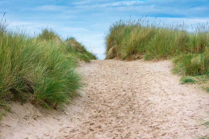 Sand Dune Footpath Leading into the Distance Stock Photo - Image of ...