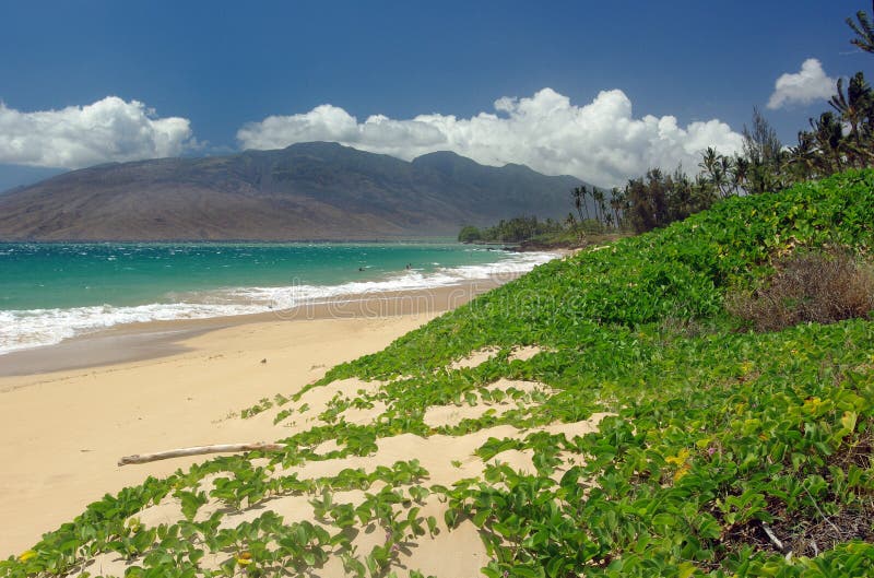 Sand Dune, Santa Rosa Island Stock Image - Image of national, wioth ...