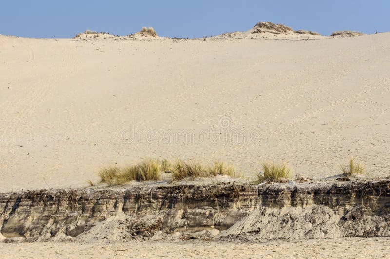 Sand Dune in Landes Country Stock Image - Image of outdoor, europe ...