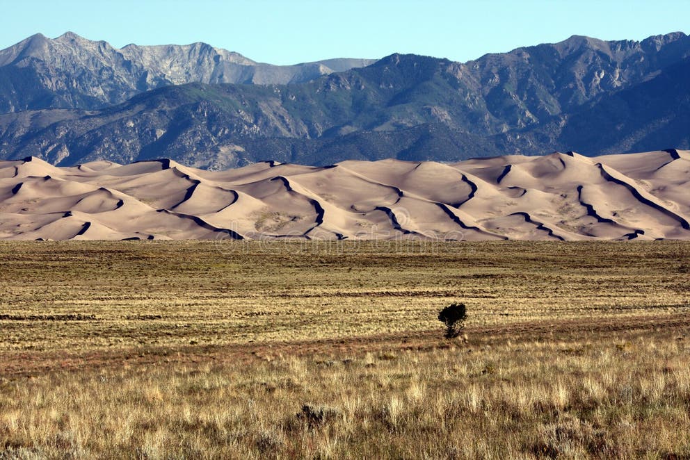 Sand Dune Landscape stock photo. Image of design, grasses - 6419682