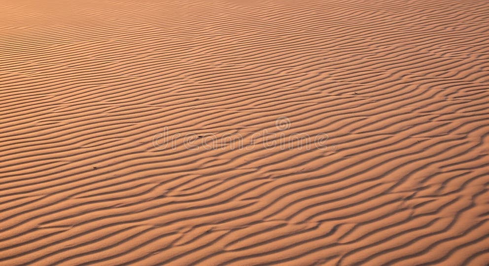 Sand Dune Landscape with Waves of Sand and Warm Desert Light Stock ...